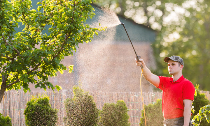 How to Water Trees in Minnesota | Summer Tree Care Tips